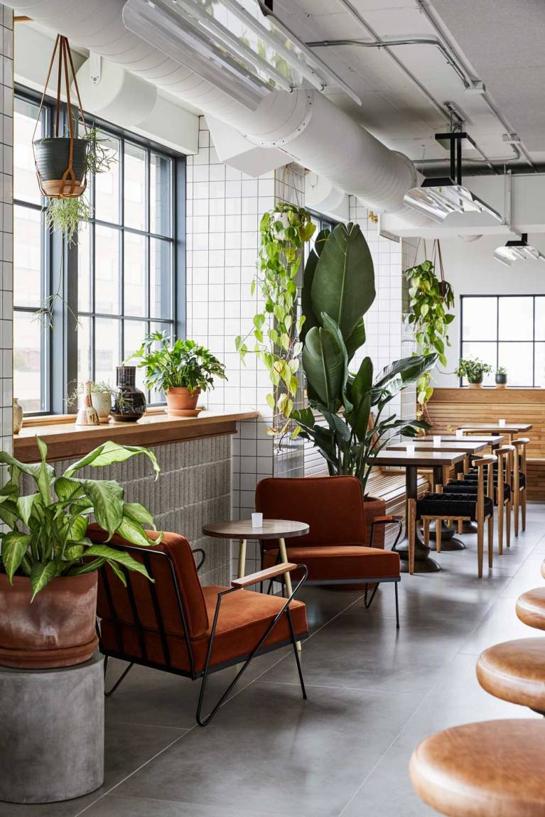 Tope Rooftop Restaurant Portland | The Hoxton, Portland