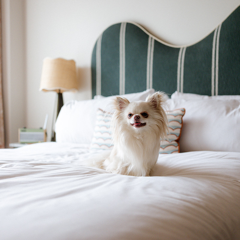 Why stay at The Hoxton Hotels? | The Hoxton